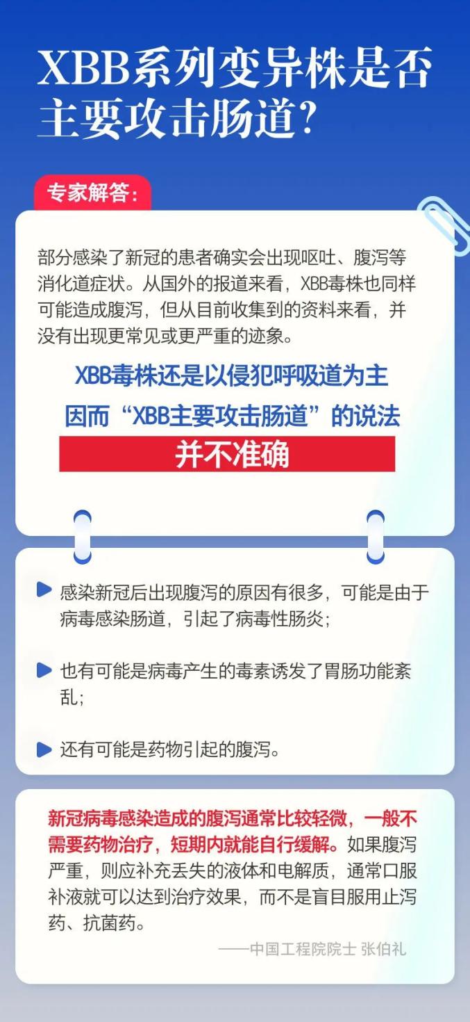 现阶段是否会本土大规模传播？关于XBB变异株，你关心的问题都在这里_澎湃号·政务_澎湃新闻-The Paper