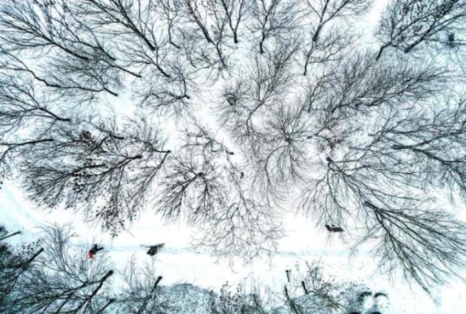 我们小时候，风雪那么大，为啥冷不怕？_澎湃号·政务_澎湃新闻-The Paper