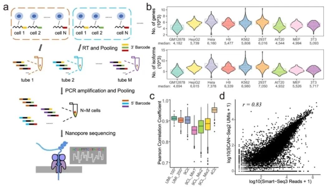 北京大学汤富酬等团队发布单细胞测序技术最新研究成果_澎湃号·湃客_澎湃新闻-The Paper