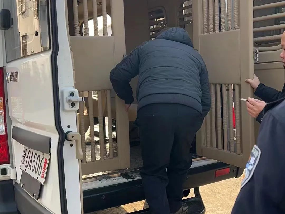 钱款到账了！安心过年了！_澎湃号·政务_澎湃新闻-The Paper