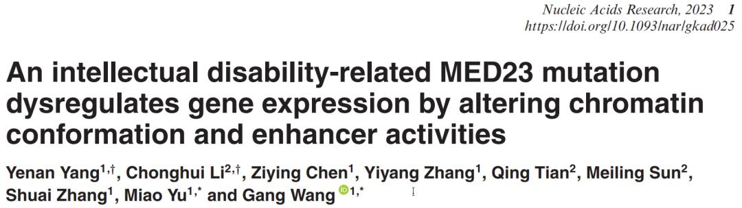 【学术前沿】NAR｜王纲/于淼团队合作发现智力障碍相关中介体MED23点突变对染色质结构的宏观调控…_澎湃号·政务_澎湃新闻-The Paper