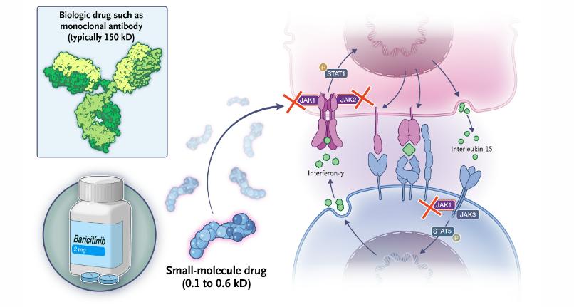 一个小分子药物——治疗高血压的药理学靶标