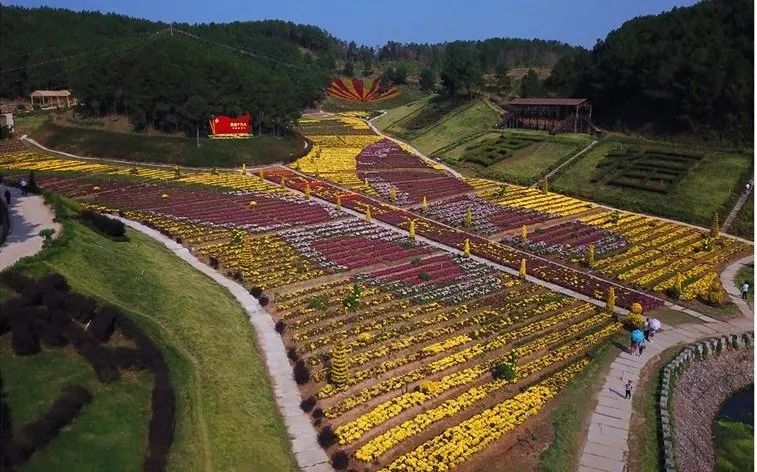 喜讯！麻城三地被评为“黄冈森林人家”_澎湃号·政务_澎湃新闻-The Paper