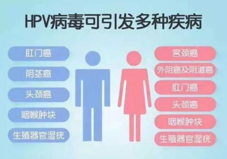 HPV宫颈癌疫苗，预防效果怎么样_澎湃号·湃客_澎湃新闻-The Paper
