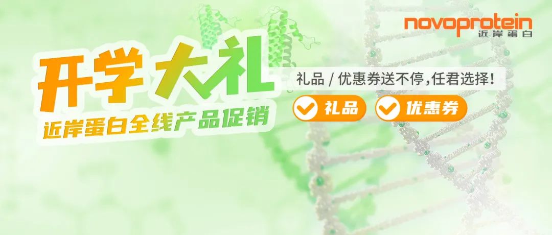 【企业资讯】类器官培养总是不成功？快来看看经过培养验证的细胞因子Wnt3a和操作步骤_澎湃号·政务_澎湃新闻-The Paper