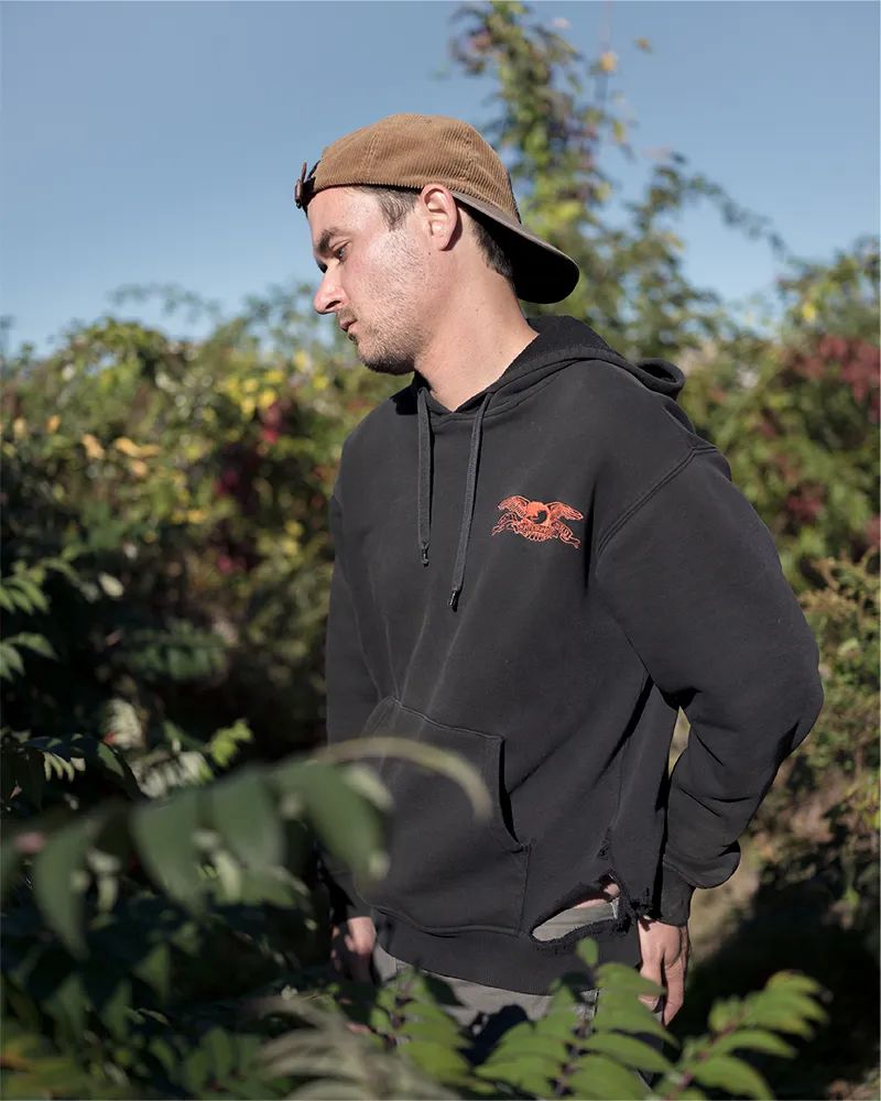 Shawn Bush：在神明与动物之间_澎湃号·湃客_澎湃新闻-The Paper