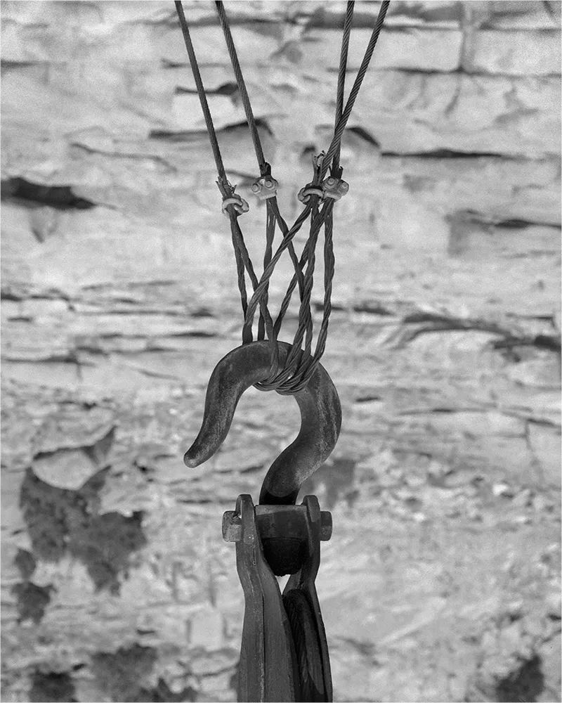 Shawn Bush：在神明与动物之间_澎湃号·湃客_澎湃新闻-The Paper