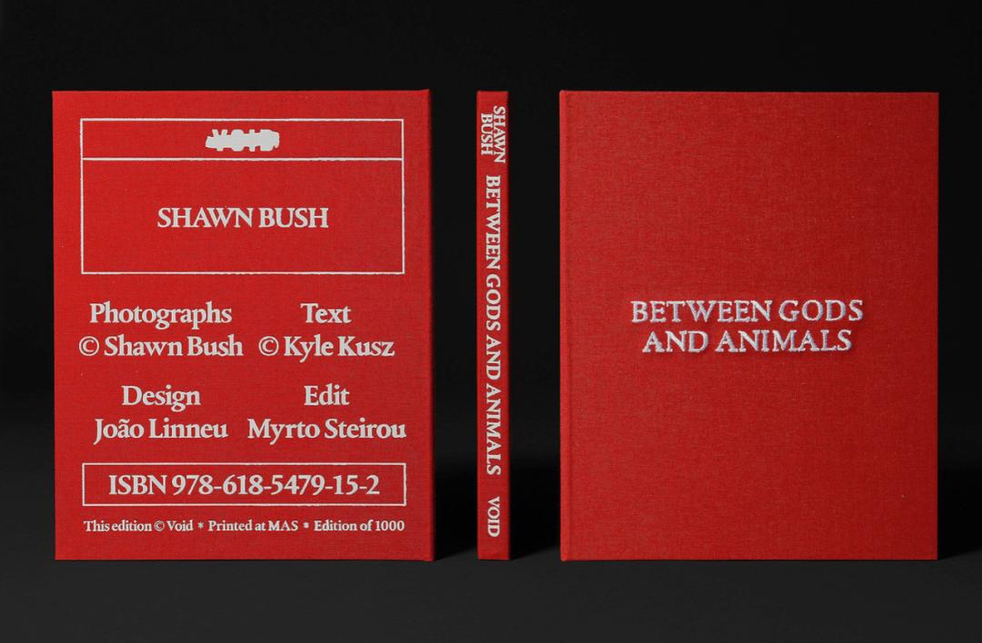 Shawn Bush：在神明与动物之间_澎湃号·湃客_澎湃新闻-The Paper