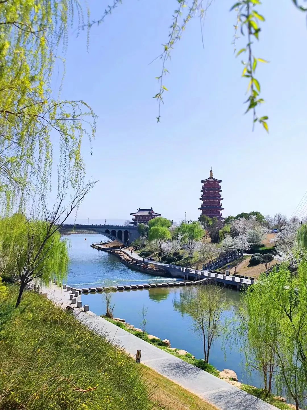 【美丽瀍河】瀍壑朱樱的樱花开了，快去打卡吧！_澎湃号·政务_澎湃新闻-The Paper