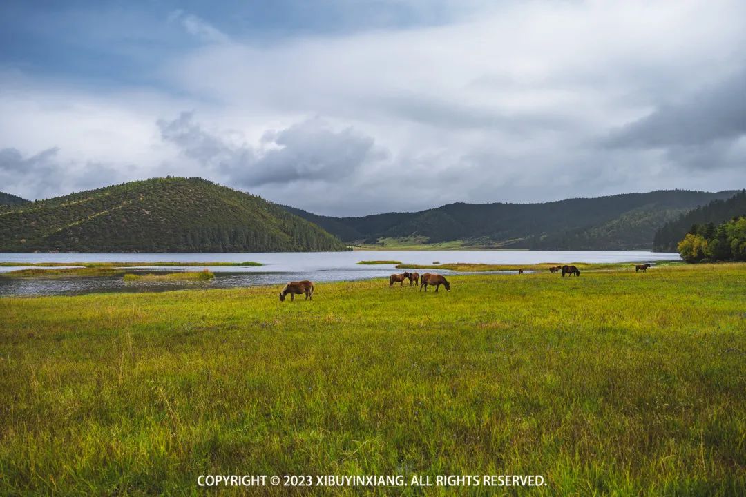 哪一处是你心中最美的香格里拉风光？_澎湃号·湃客_澎湃新闻-The Paper
