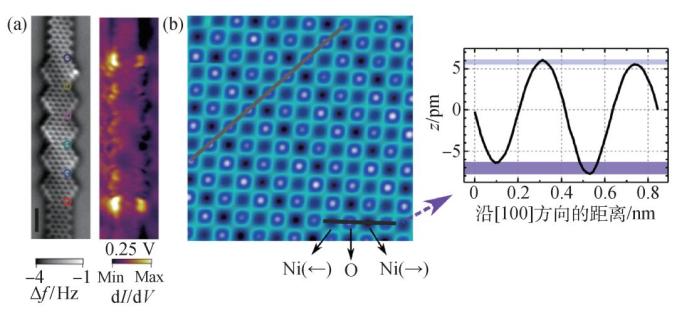 qPlus型原子力显微镜技术