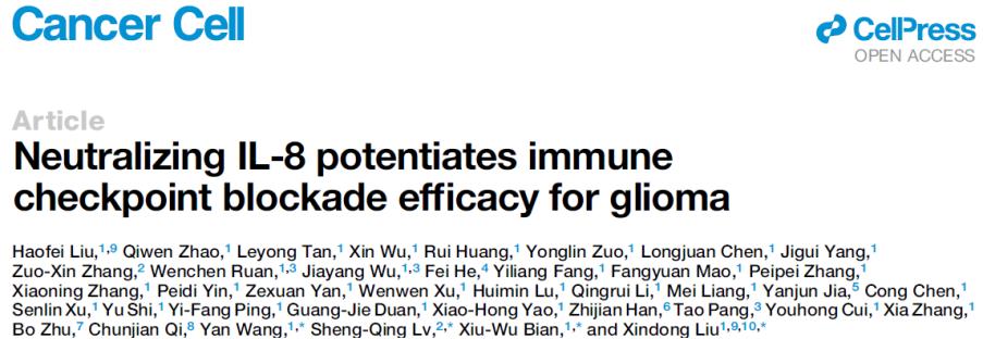 【学术前沿】Cancer Cell︱刘新东/卞修武/吕圣青/王岩等团队联合发现中和IL-8可提高脑…_澎湃号·政务_澎湃新闻-The Paper