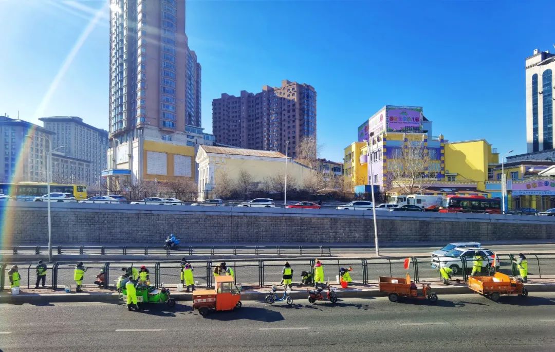 今年城区拟打造10条园林绿化示范街路_澎湃号·政务_澎湃新闻-The Paper