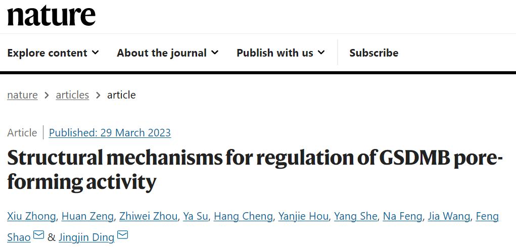 Nature：丁璟珒/邵峰合作揭示揭示GSDMB膜打孔介导细胞焦亡的结构基础和调控机制_澎湃号·湃客_澎湃新闻-The Paper