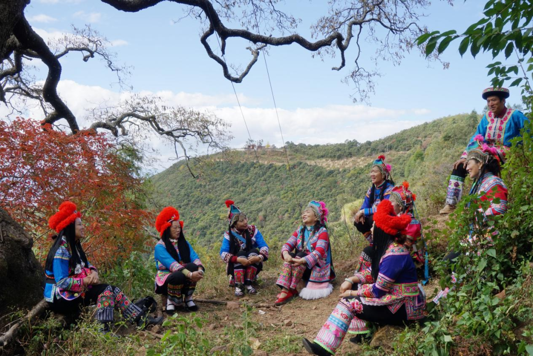 乐享云南 | 非遗·元谋傈僳古歌_澎湃号·政务_澎湃新闻-The Paper