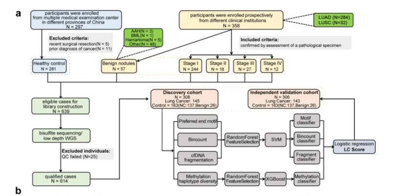 北京大学人民医院李运/姜冠潮团队创建用于肺癌早期筛查和MRD检测的新HIFI_澎湃号·湃客_澎湃新闻-The Paper