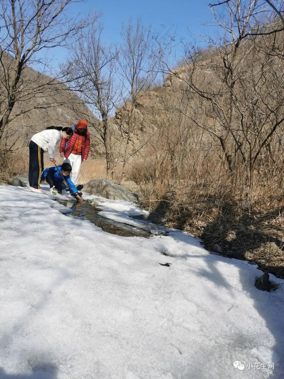 “豆芽菜”变身记：为什么我坚持带10岁儿子做15公里徒步？_澎湃号·湃客_澎湃新闻-The Paper