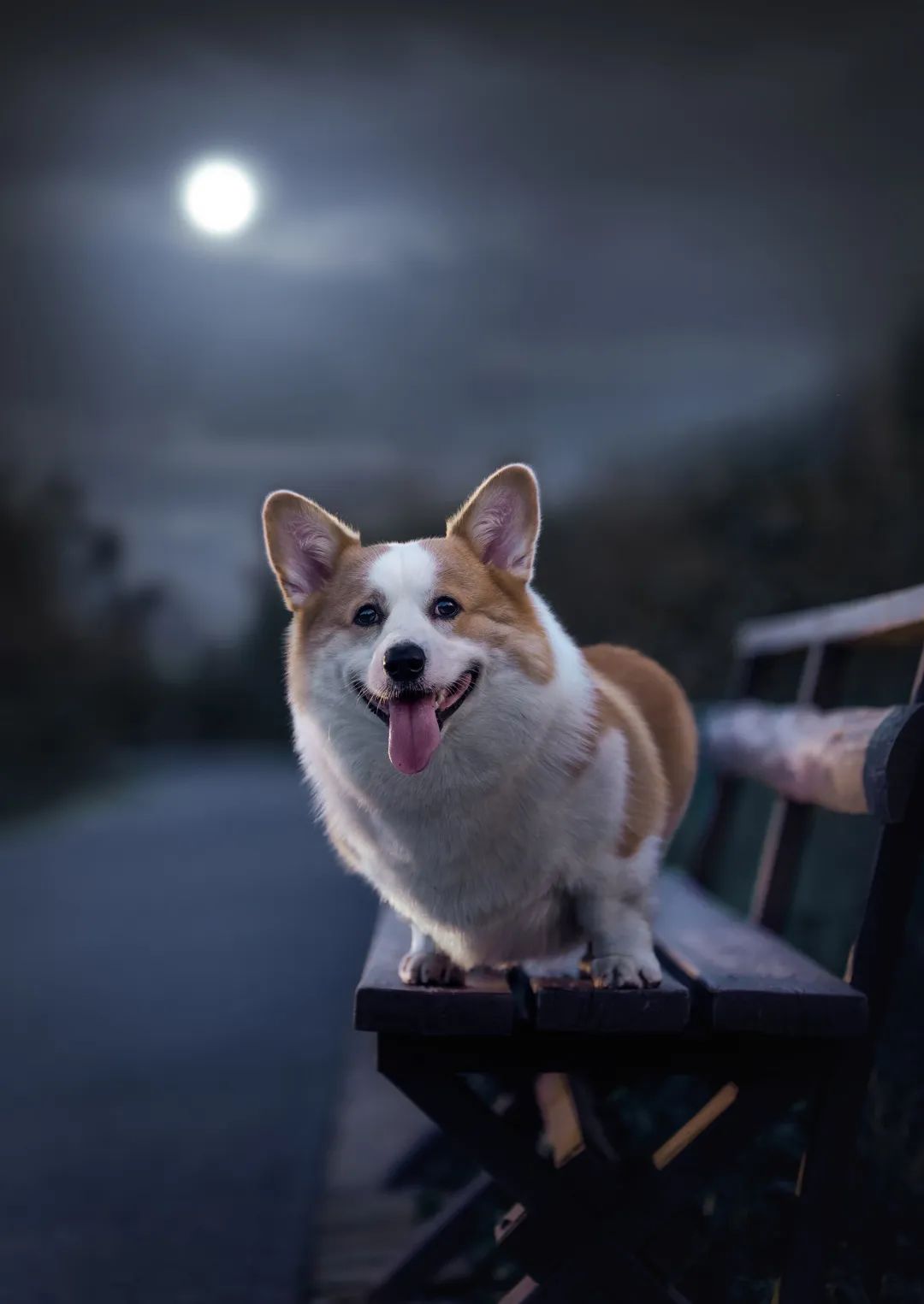 周榜｜尼泊尔的赛博朋克，和世界屋脊上的4K环游_澎湃号·湃客_澎湃新闻-The Paper