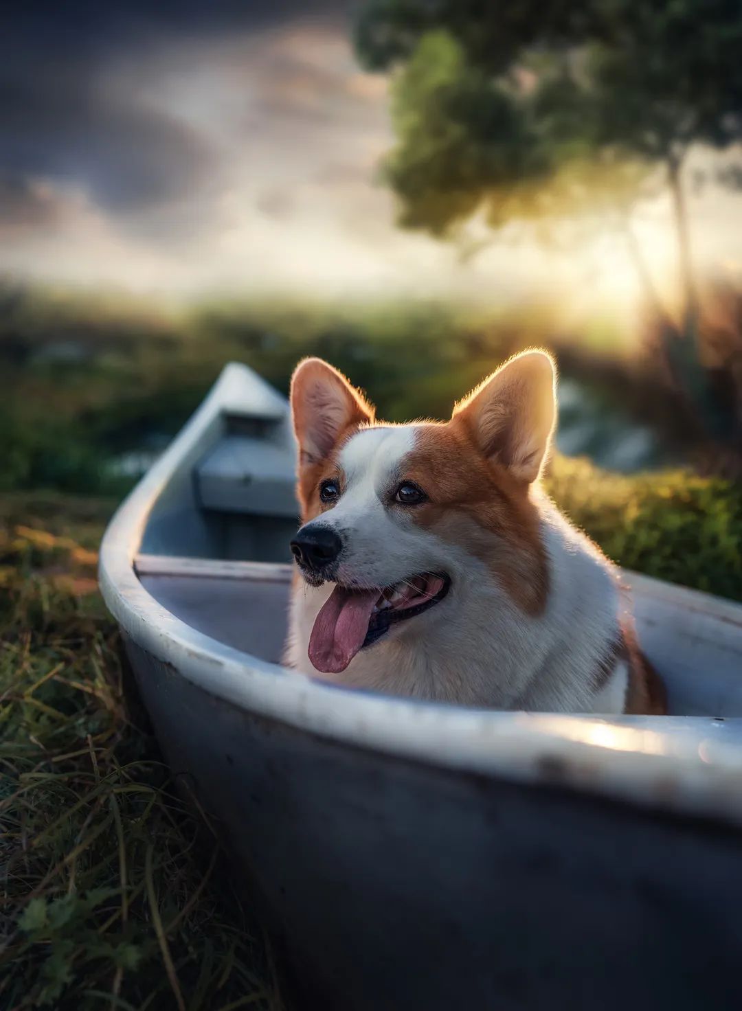 周榜｜尼泊尔的赛博朋克，和世界屋脊上的4K环游_澎湃号·湃客_澎湃新闻-The Paper