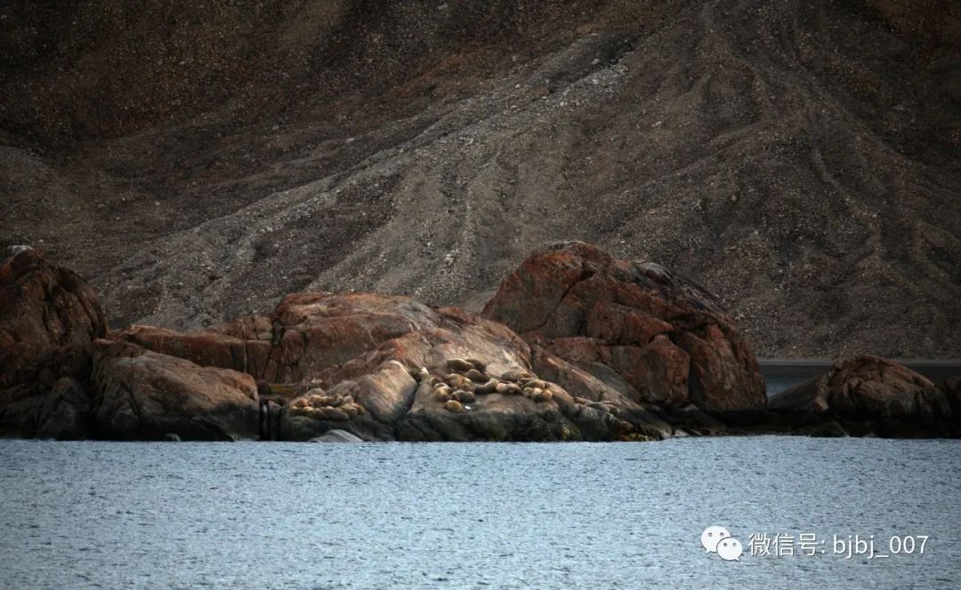 北极日记 | 探秘西北航道：一片惨白_澎湃号·湃客_澎湃新闻-The Paper