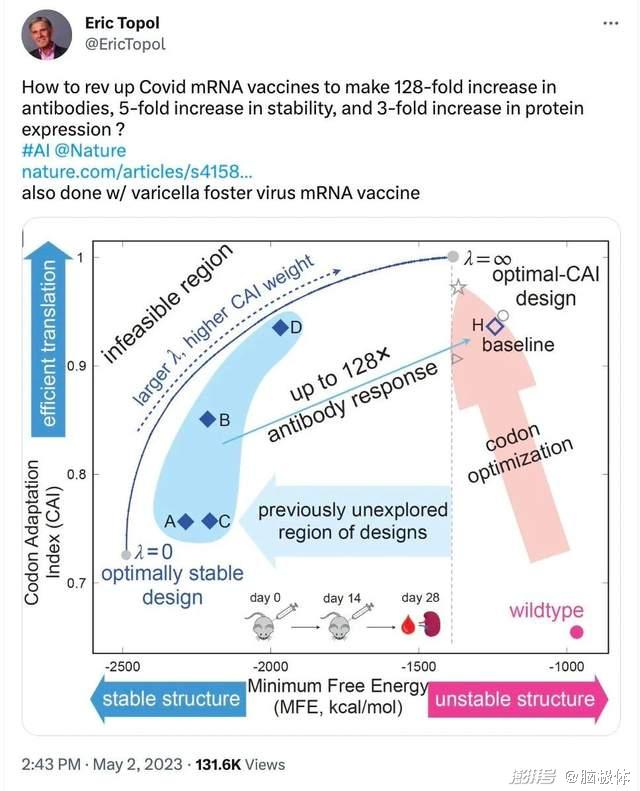 登顶Nature正刊，百度生物计算用AI首次实现mRNA领域重大进展_澎湃号·湃客_澎湃新闻-The Paper