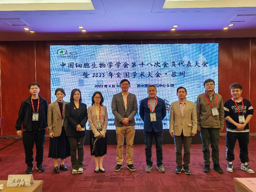 【CSCB 2023】分会场回顾之单倍体与类器官细胞生物学的基础与应用分会场_澎湃号·政务_澎湃新闻-The Paper