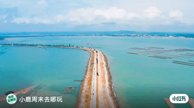 看海自由、嗦粉自由、水果自由！荔枝味的海滨小城，人均500玩3天_澎湃号·湃客_澎湃新闻-The Paper