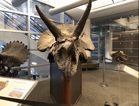 照片转视频，像航拍一样丝滑，NeRF原班人马打造Zip-NeRF_澎湃号·湃客_澎湃新闻-The Paper