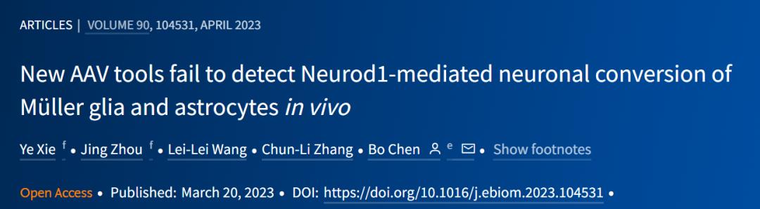 新型AAV体系再次验明NeuroD1不能在体内介导神经元的转分化_澎湃号·湃客_澎湃新闻-The Paper