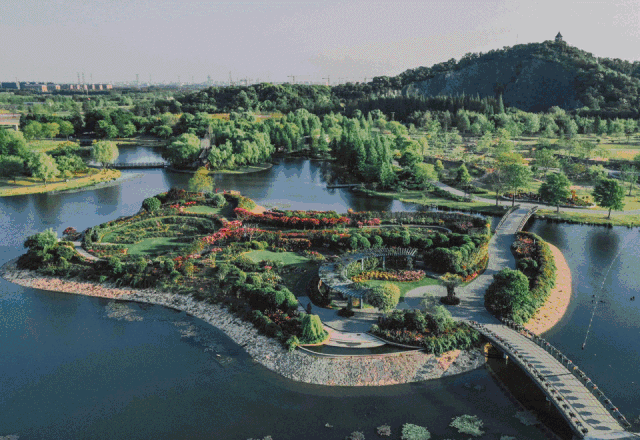 “以花之名：月季的世界艺文旅行”计划上海站开启_澎湃号·湃客_澎湃新闻-The Paper