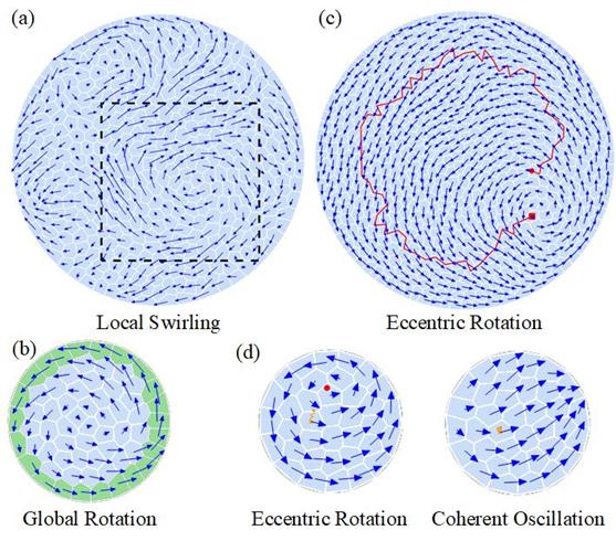 中国力学学会青年托举人才徐光魁在活性材料力学方面取得进展