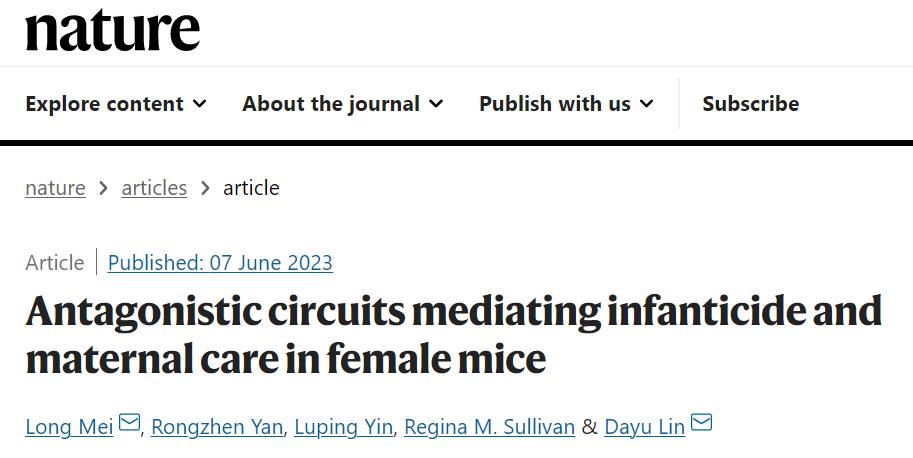Nature：林大宇团队发现介导小鼠杀婴与母爱行为的神经环路_澎湃号·湃客_澎湃新闻-The Paper