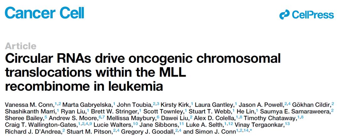 Cancer Cell：环状RNA的新功能，诱导DNA突变并促进癌症发生_澎湃号·湃客_澎湃新闻-The Paper
