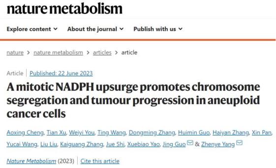 【学术前沿】Nat Metab | 杨振业课题组揭示NADPH促进非整倍体肿瘤细胞分裂的调控机制_澎湃号·政务_澎湃新闻-The Paper