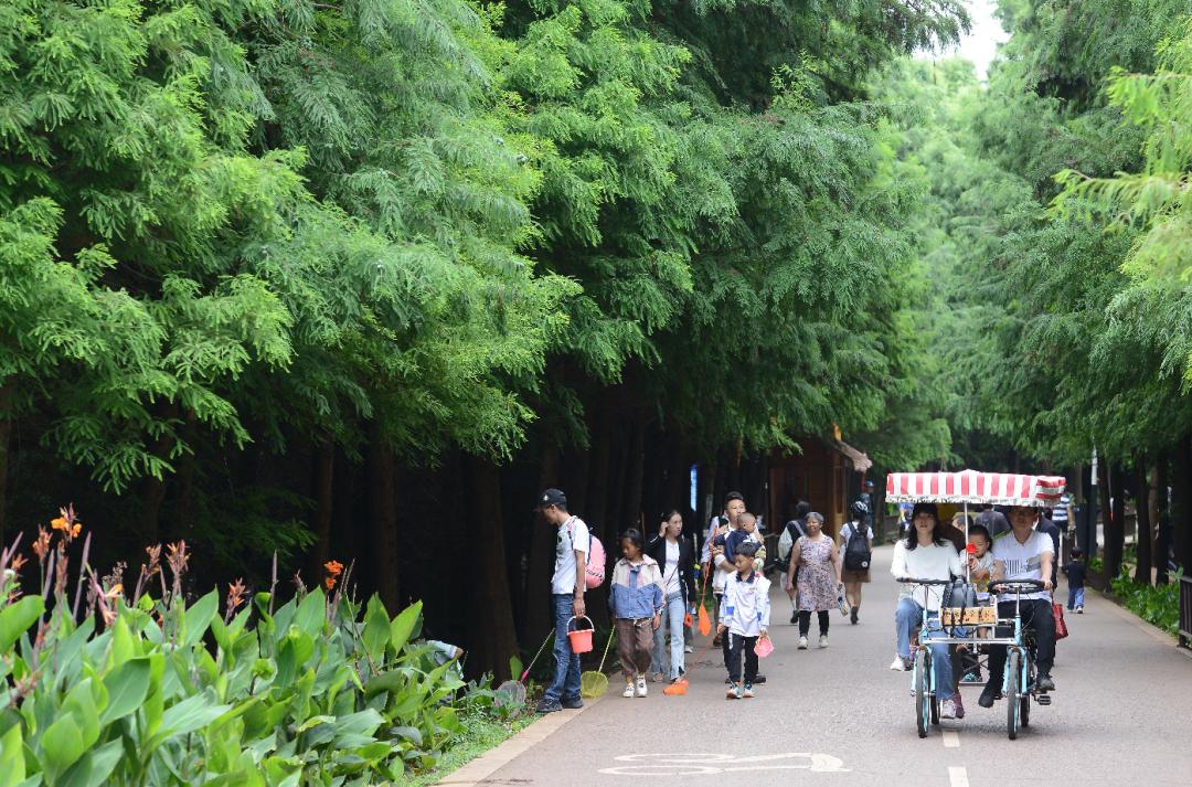 你冷了，我四季如春；你热了，我四季如春_澎湃号·政务_澎湃新闻-The Paper