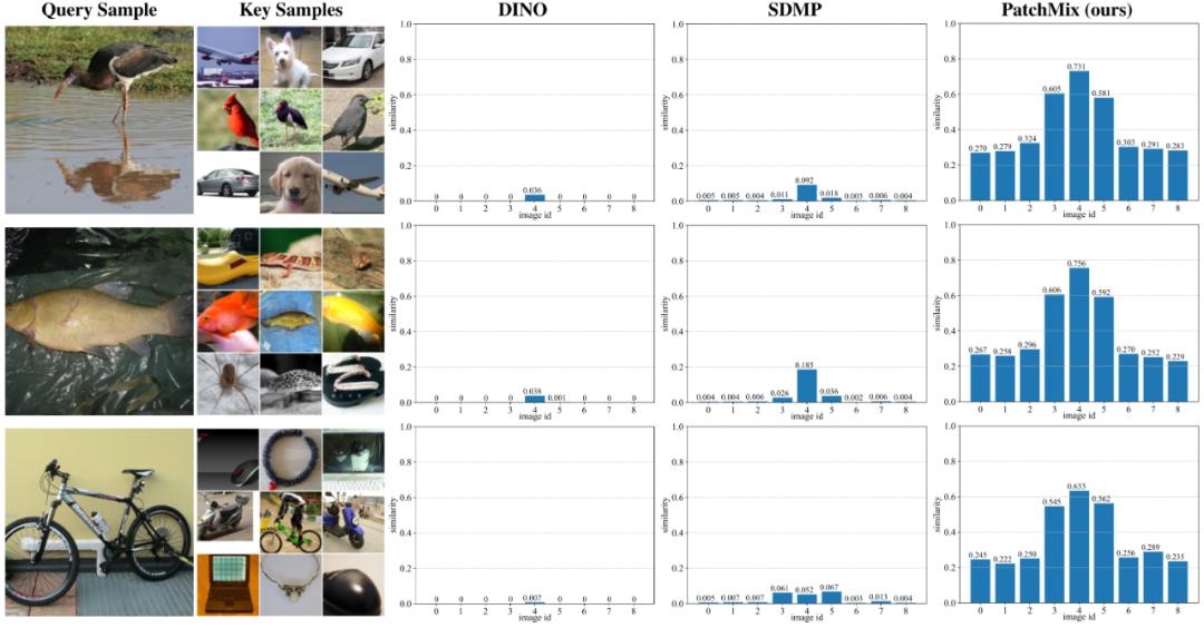 在对比学习中引入显式跨图像相似度建模能力，中南大学显著提高无监督表征的泛化能力_澎湃号·湃客_澎湃新闻-The Paper