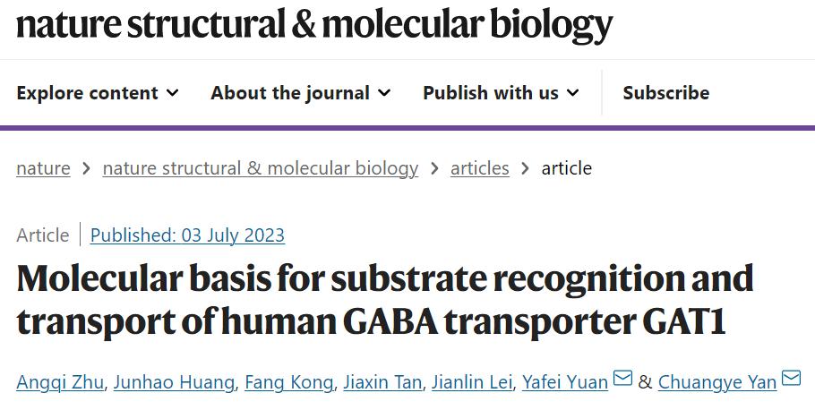 Nature子刊：清华大学闫创业团队揭示GABA转运蛋白GAT1的底物转运机制和药物抑制机理_澎湃号·湃客_澎湃新闻-The Paper