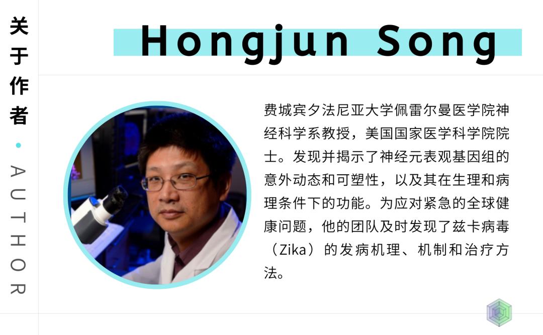 未成熟神经元，治疗大脑疾病的新可能_澎湃号·湃客_澎湃新闻-The Paper