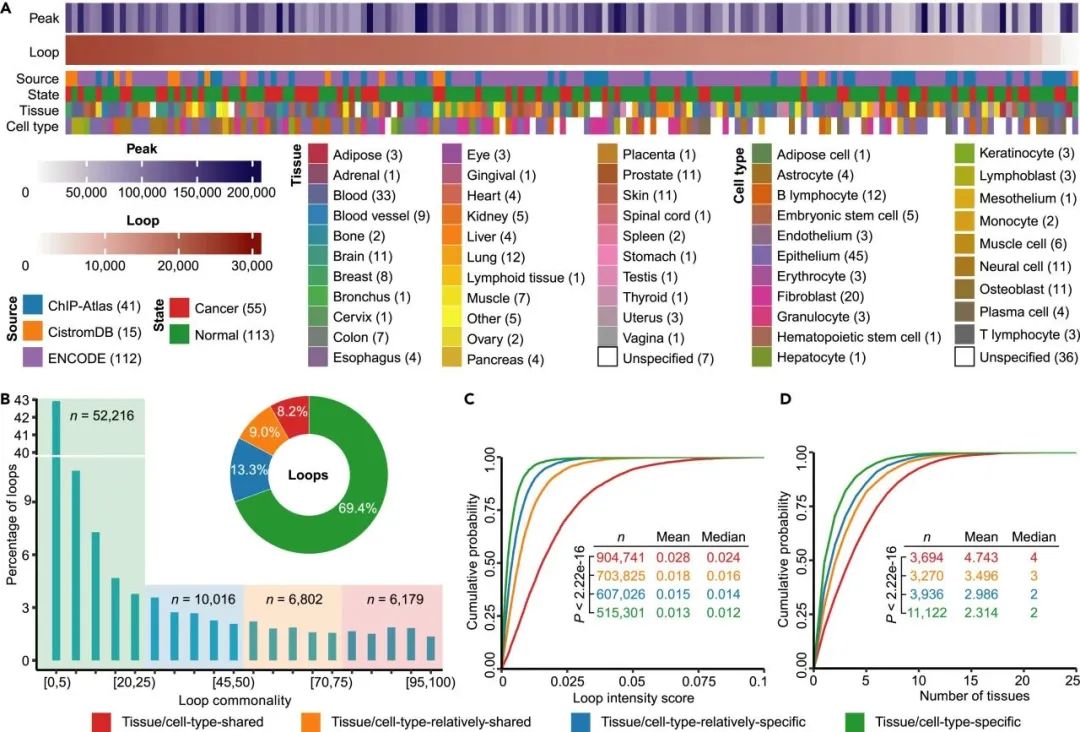 李俊/陈可欣/黄丹丹Patterns：深度学习模型准确描述CTCF在全基因组水平的结合特点_澎湃号·湃客_澎湃新闻-The Paper