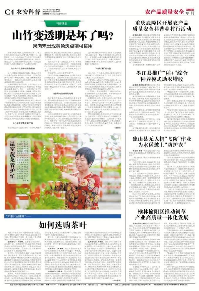 导览 中国食品安全报第3797期 澎湃号·媒体 澎湃新闻 The Paper