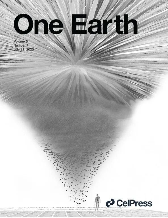 在纳米层面确保安全和可持续性 | One Earth 7月刊论文精选_澎湃号·湃客_澎湃新闻-The Paper