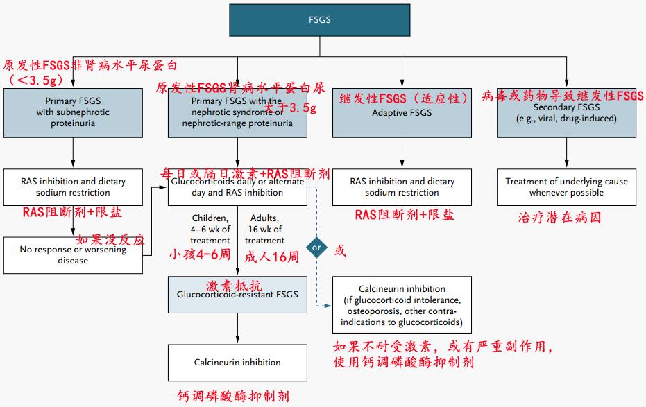 FSGS是肾病中最严重的吗？关于FSGS，你该了解的常识_澎湃号·湃客_澎湃新闻-The Paper