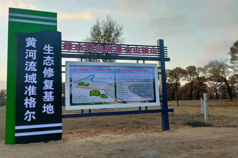 天骄·检益丨鄂尔多斯荒漠化防治典型案例展示（五）“检察公益林”的前世今生_澎湃号·政务_澎湃新闻-The Paper