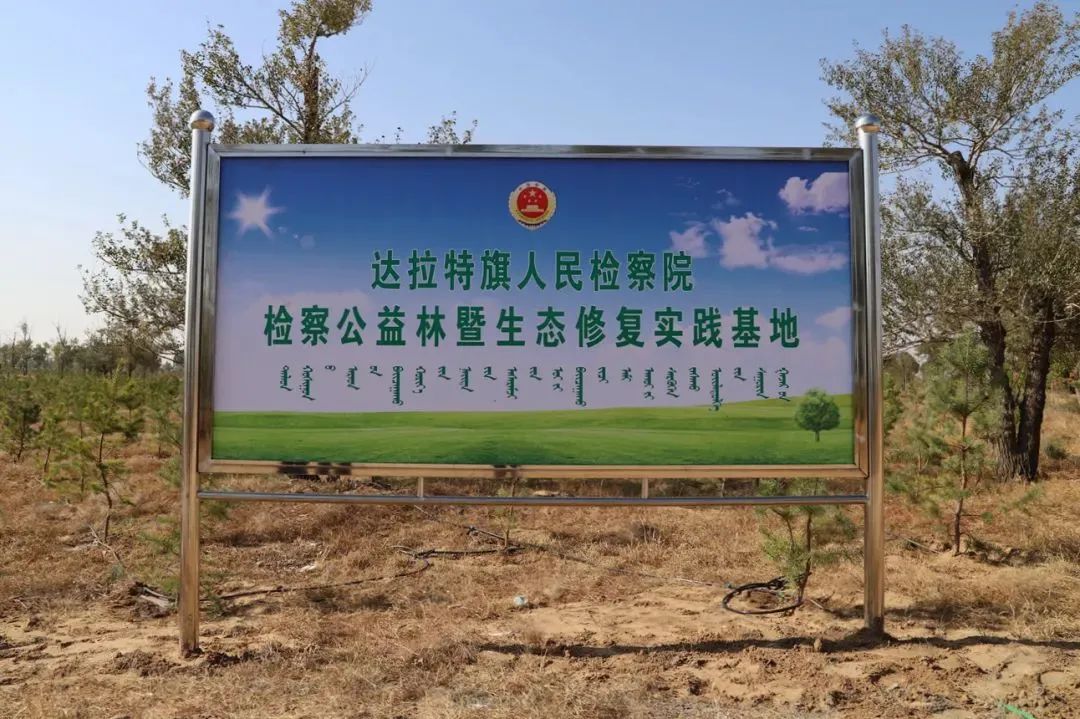 天骄·检益丨鄂尔多斯荒漠化防治典型案例展示（五）“检察公益林”的前世今生_澎湃号·政务_澎湃新闻-The Paper