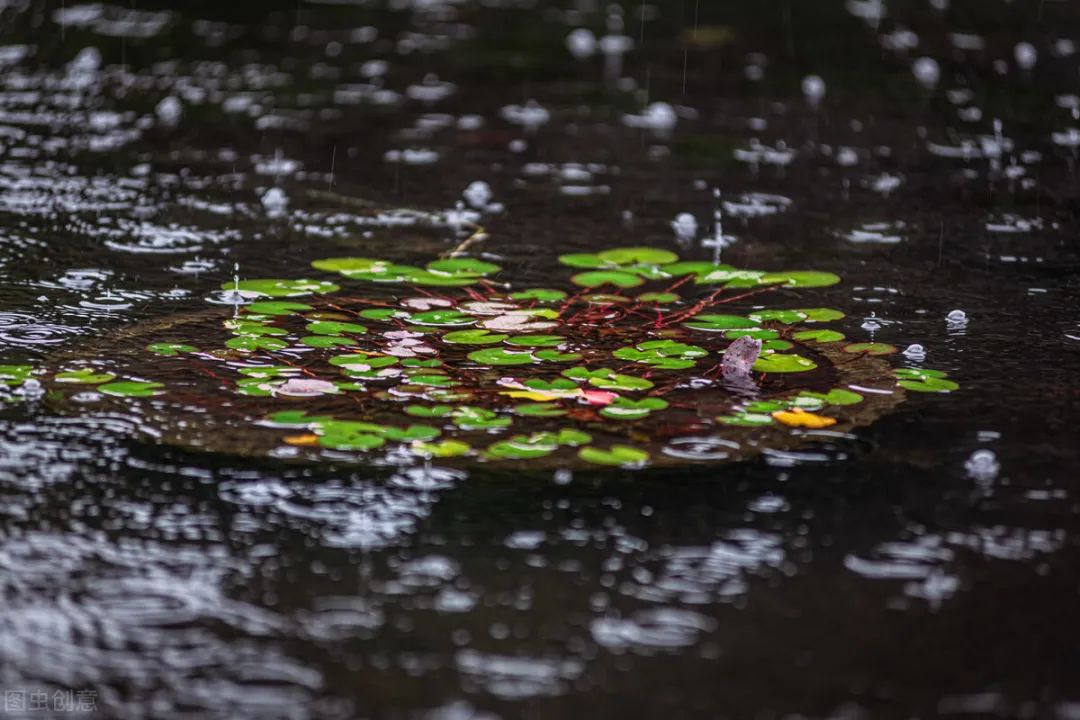降水云系已减弱东移，明日秦皇岛天气→_澎湃号·政务_澎湃新闻-The Paper