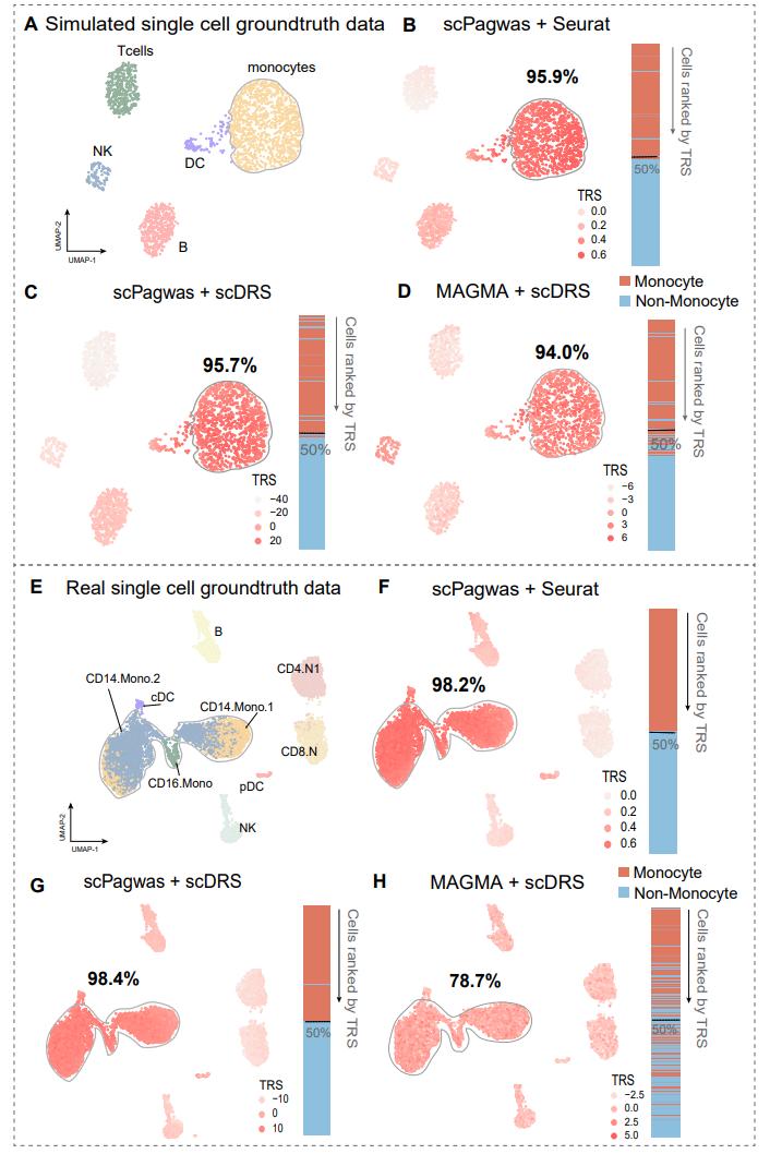 温州医科大学苏建忠团队开发scPagwas新算法从单细胞水平识别疾病相关的细胞亚群_澎湃号·湃客_澎湃新闻-The Paper