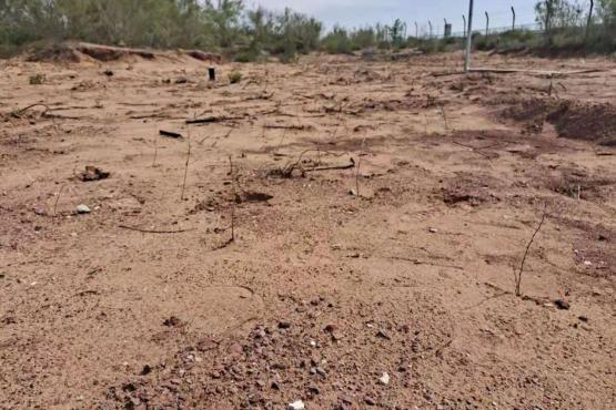 天骄·检益丨鄂尔多斯荒漠化防治典型案例展示（六） 污染防治+荒漠化治理 打好净土保卫战_澎湃号·政务_澎湃新闻-The Paper