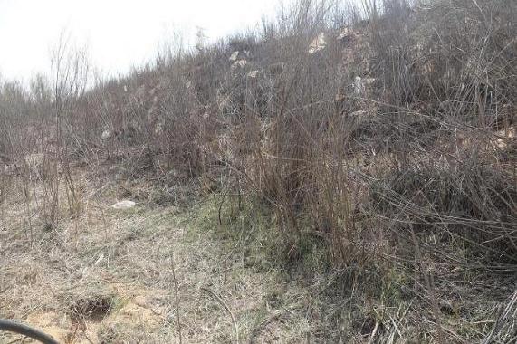 天骄·检益丨鄂尔多斯荒漠化防治典型案例展示（六） 污染防治+荒漠化治理 打好净土保卫战_澎湃号·政务_澎湃新闻-The Paper