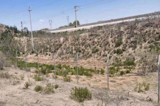 天骄·检益丨鄂尔多斯荒漠化防治典型案例展示（六） 污染防治+荒漠化治理 打好净土保卫战_澎湃号·政务_澎湃新闻-The Paper