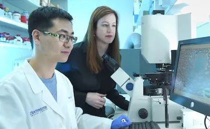 连发3篇Science：浙江大学王宇浩等发现肠道菌群调控脂质代谢新机制_澎湃号·湃客_澎湃新闻-The Paper